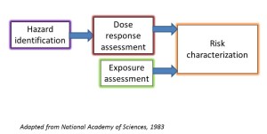 Toxicology Education Foundation | Human Health Risk Assessment